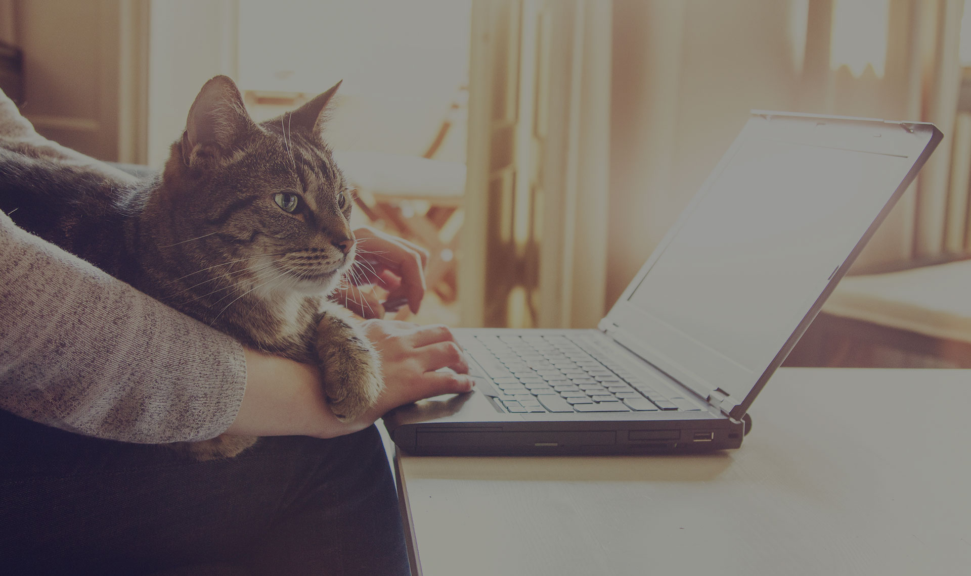 8 Reasons Why Your Writing Career Can Excel | addmustard